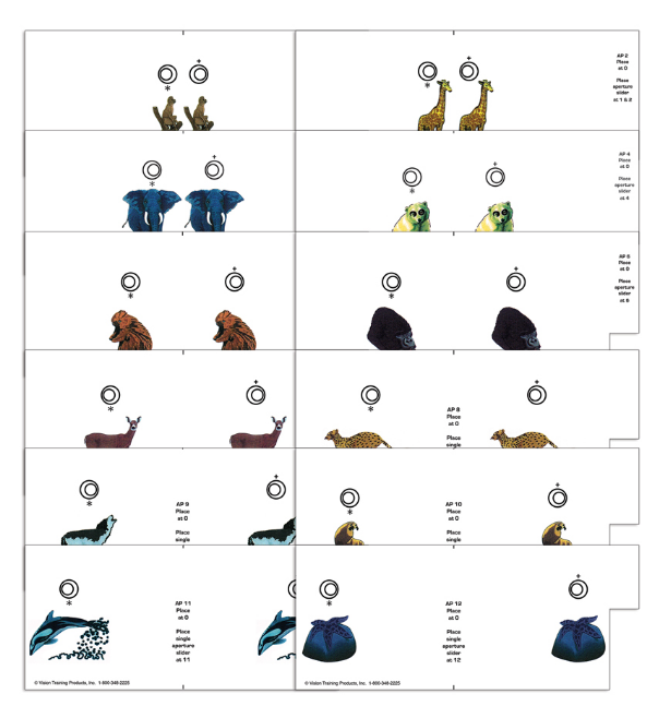 Colored aperture rule cards adults (BC1050C) | Entrenamiento de ...