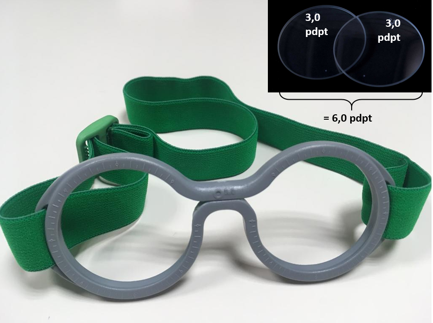 Yoked prism goggle (2 x 3.0 pdpt) | Yoked Prism Goggles | Vision ...