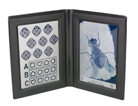 Stereo fly test with Lea symbols "Titmus" | Stereo Tests | Screening ...